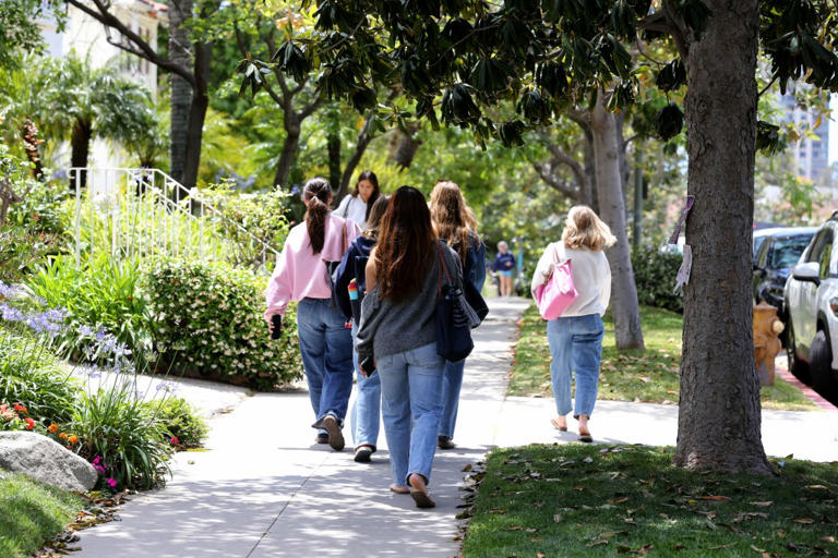 Cops arrest homeless serial assault suspect accused of attacking UCLA ...