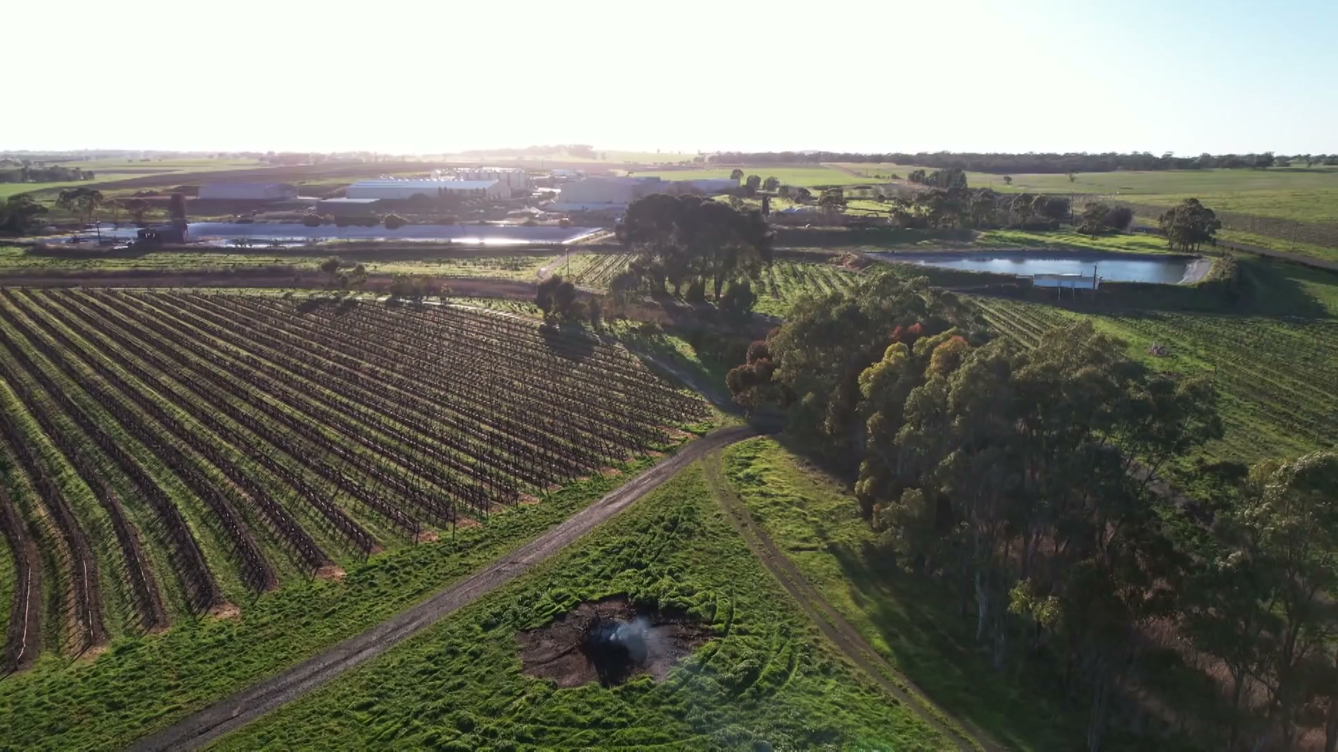 Taylors Wines considers moving SA business overseas if tax changes go ...