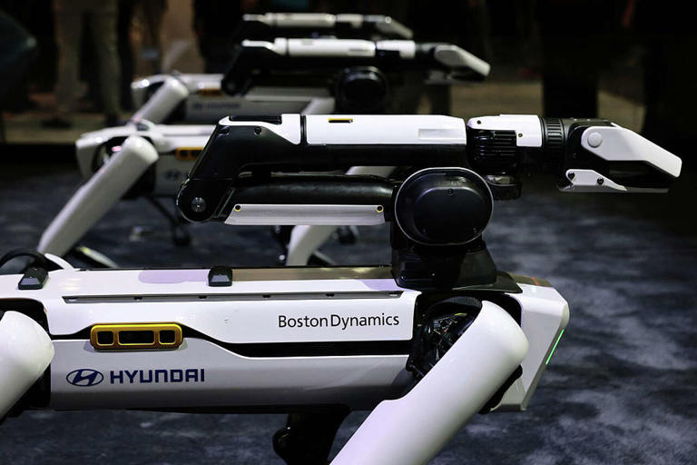 World Cup robot dogs raise surveillance fears in Texas
