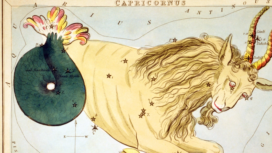 Capricorn horoscope highlights teamwork and smart financial choices