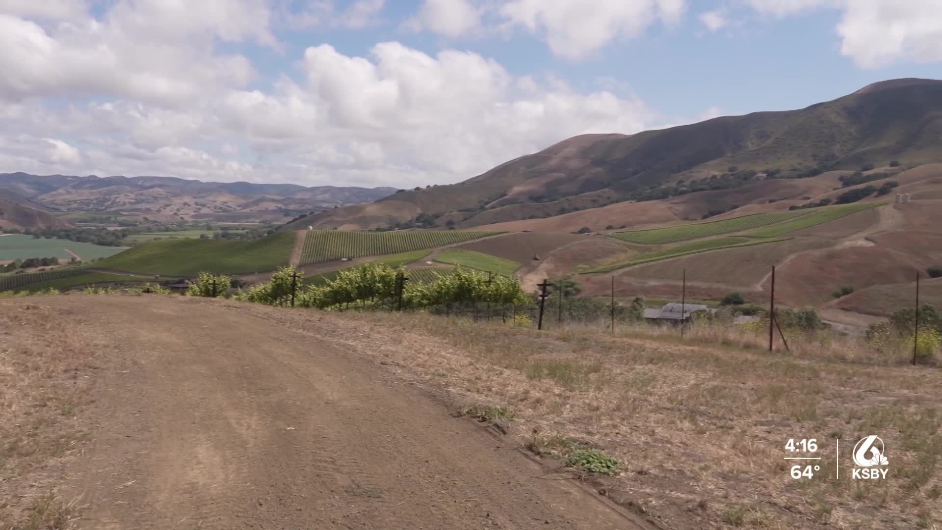 Alma Rosa Winery’s annual Peace of Mind Walk to benefit mental health ...