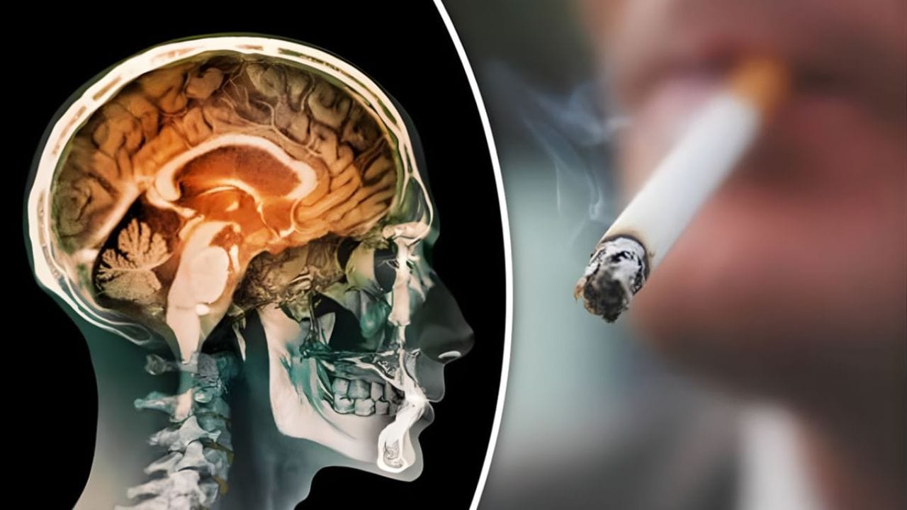 World No Tobacco Day 2026: Doctor explains hidden risks of vapes ...