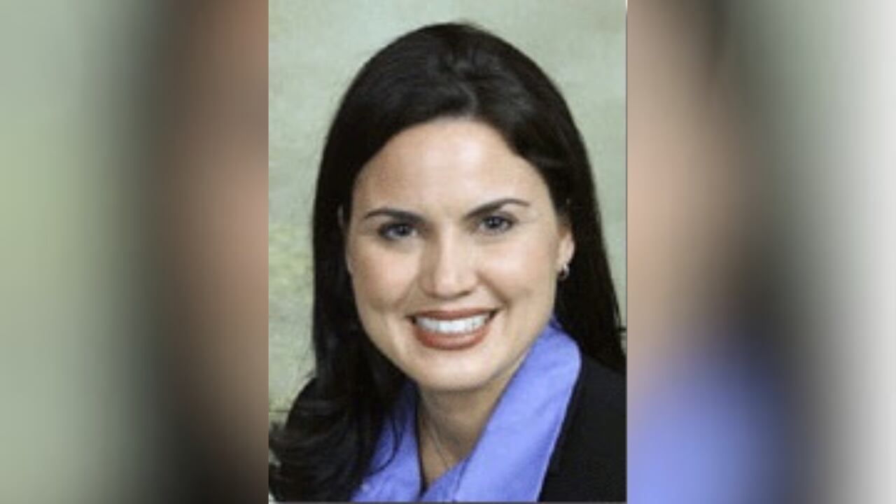 Election 2026: Lesil McGuire, former state lawmaker, joins governor’s race
