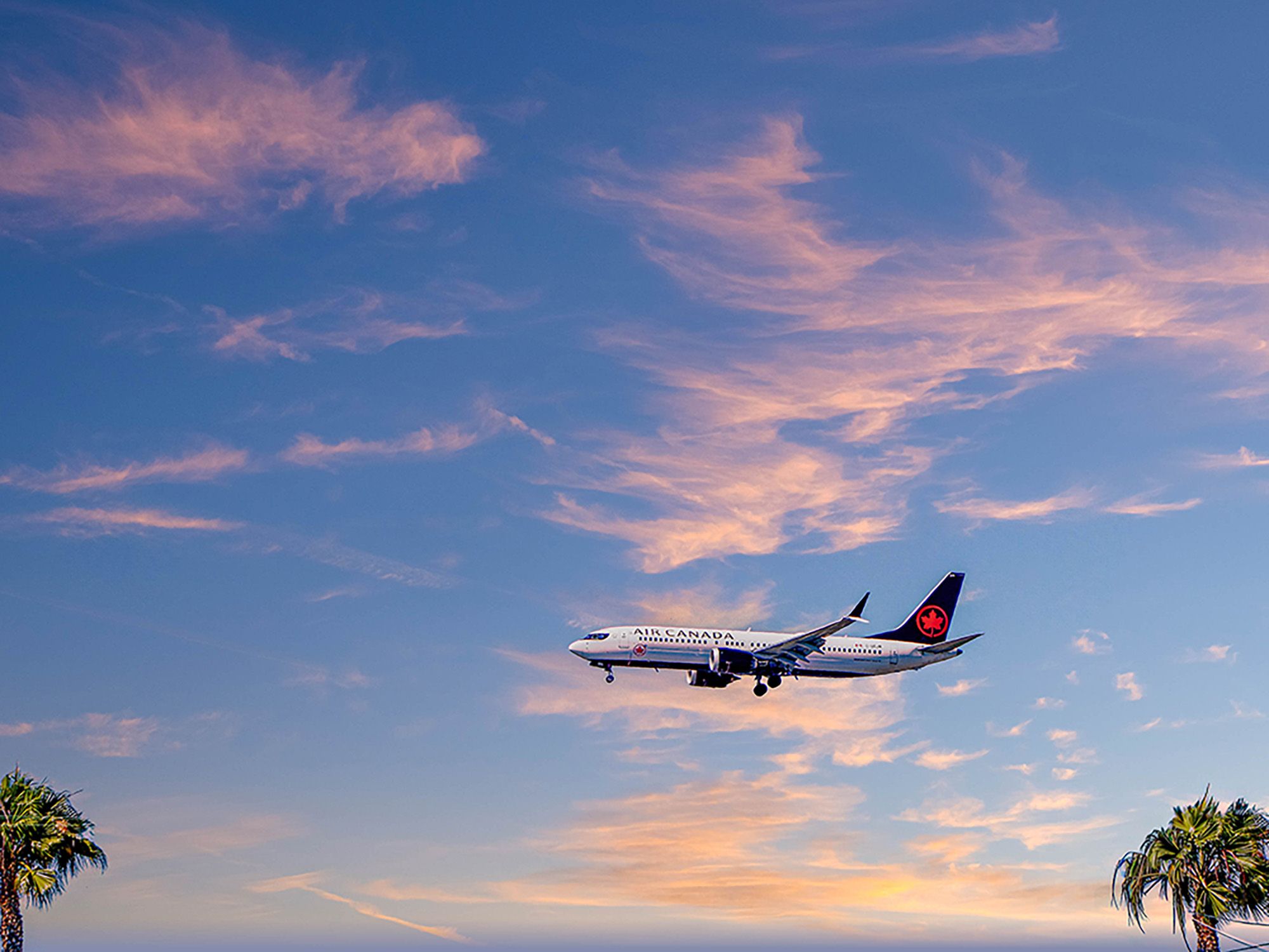 Canadian airlines pivot to Europe and the sun as summer schedules take ...