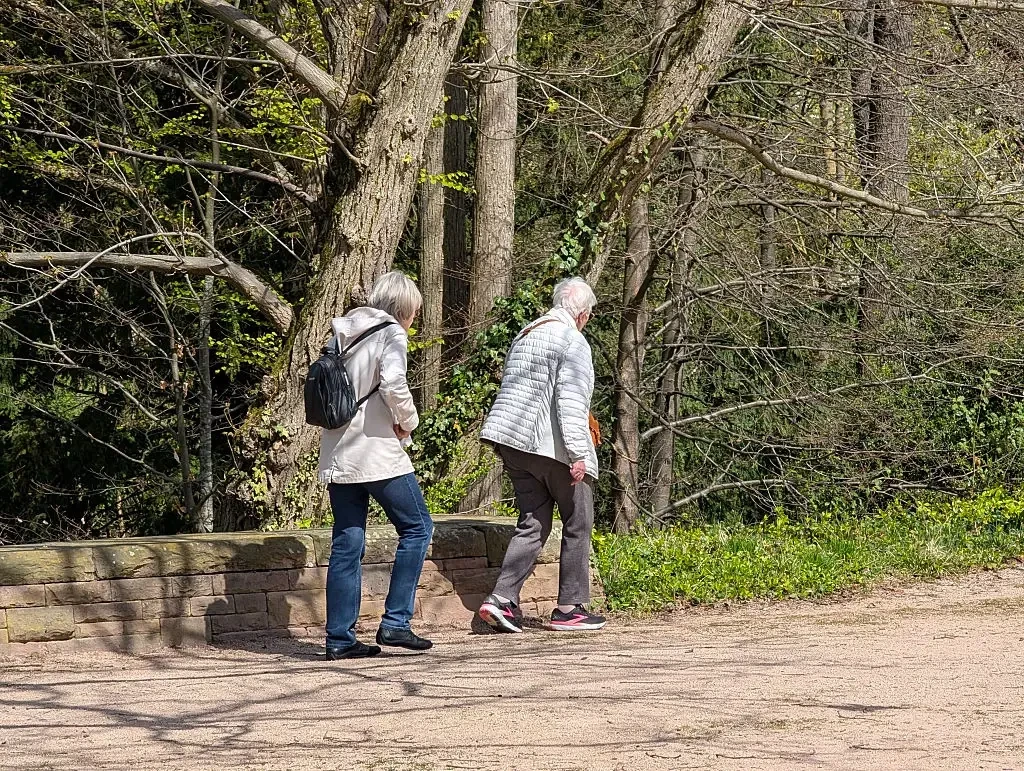 Experts outline simple at-home exercises to boost senior health