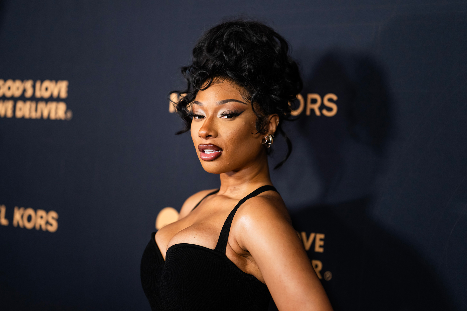 Megan Thee Stallion defamation judgment reinstated against blogger