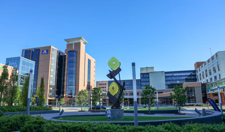 Union demands answers as Sparrow Lansing outsources 379 jobs