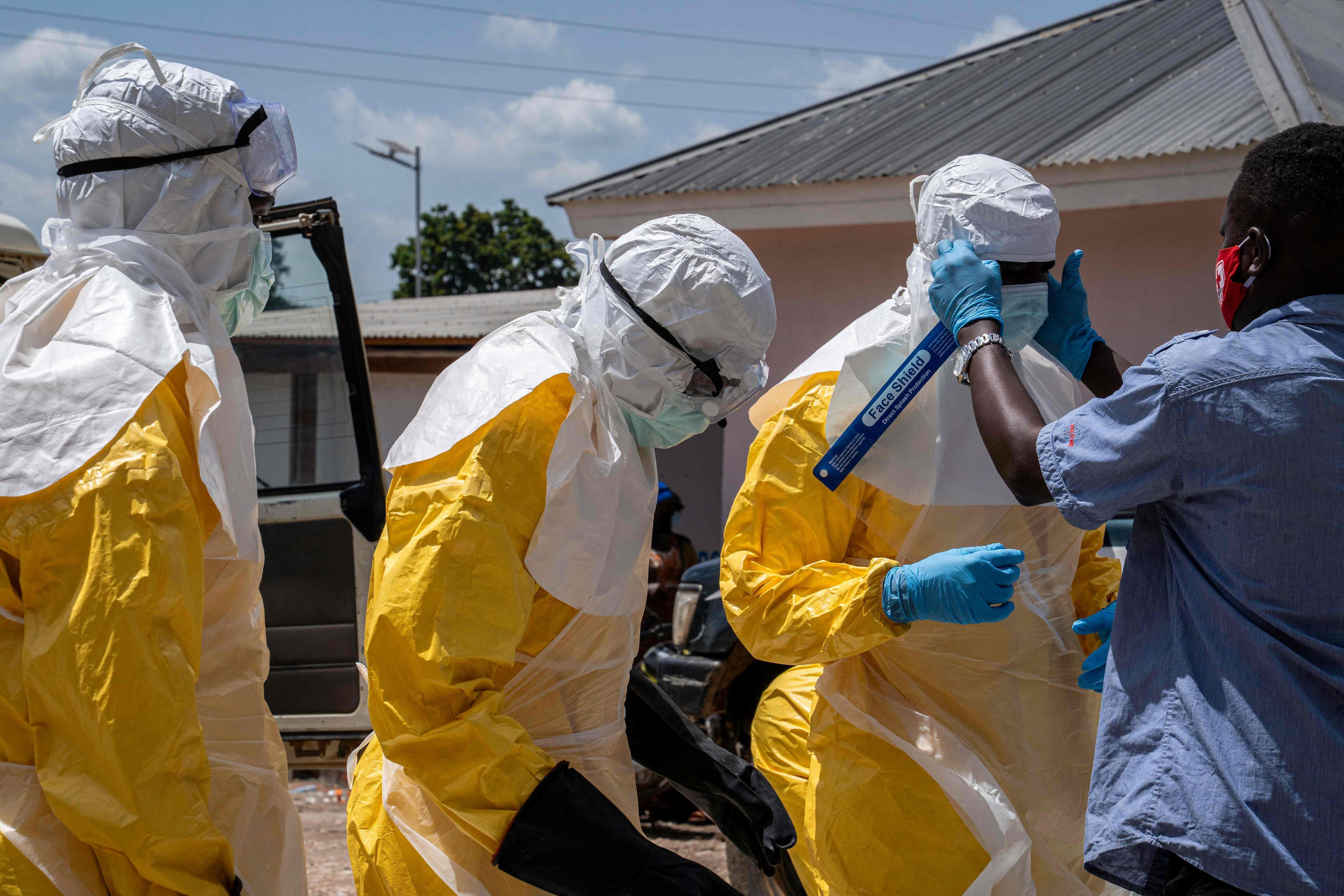 Hantavirus, Ebola strains defy past assumptions