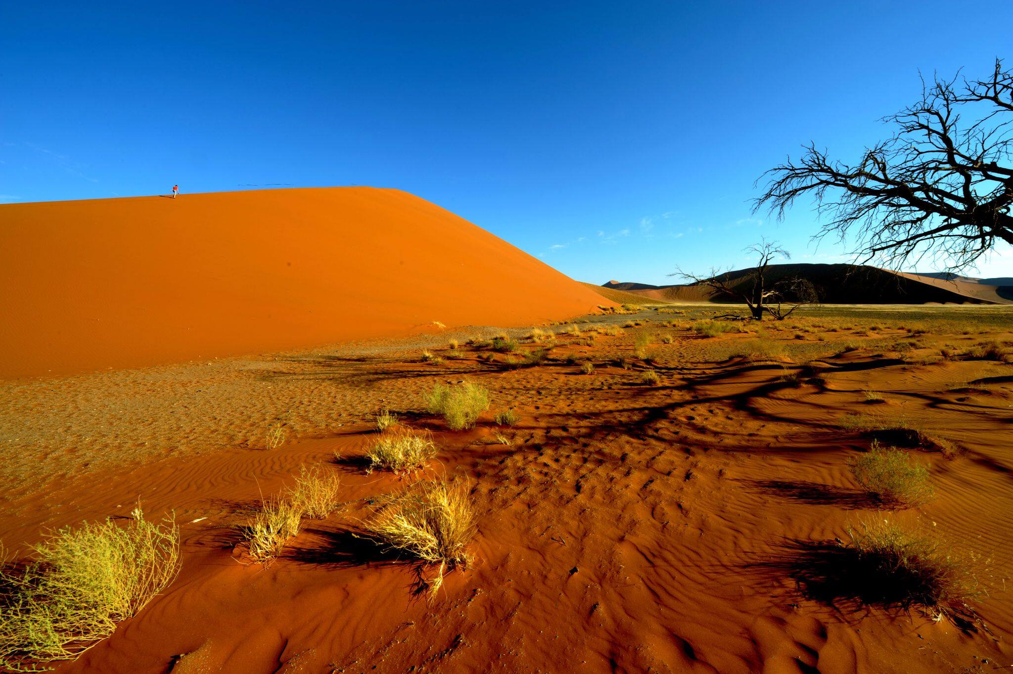 Vierte Leiche nach Flugzeugabsturz in Namibia entdeckt