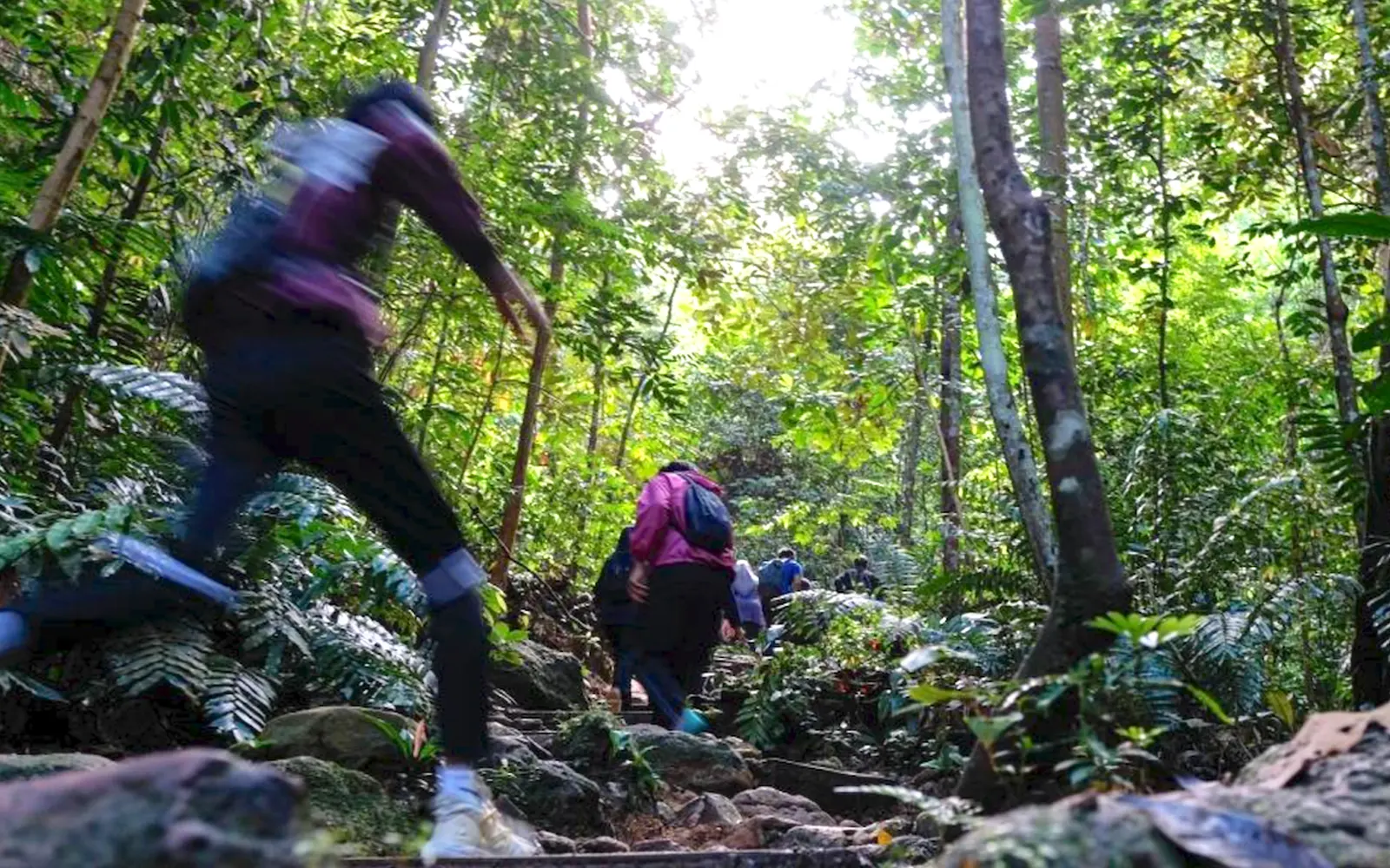 Are social media trends encouraging hikers to take more risks?