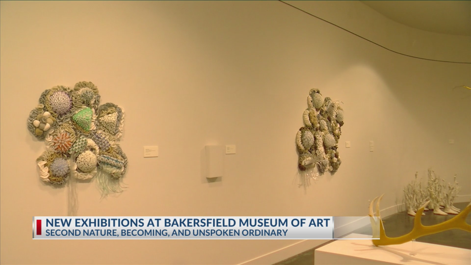 New exhibitions at Bakersfield Museum of Art