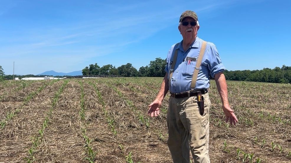 Rain returns, but Bedford County farmers say crops are still behind ...