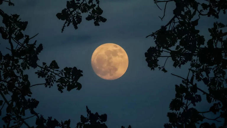 Adhik Maas Purnima 2026: Will the fast be observed today, 30 May? Check ...