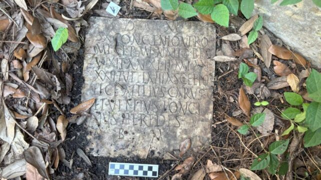 Mysterious stone in US backyard turns out to be an archaeological treasure