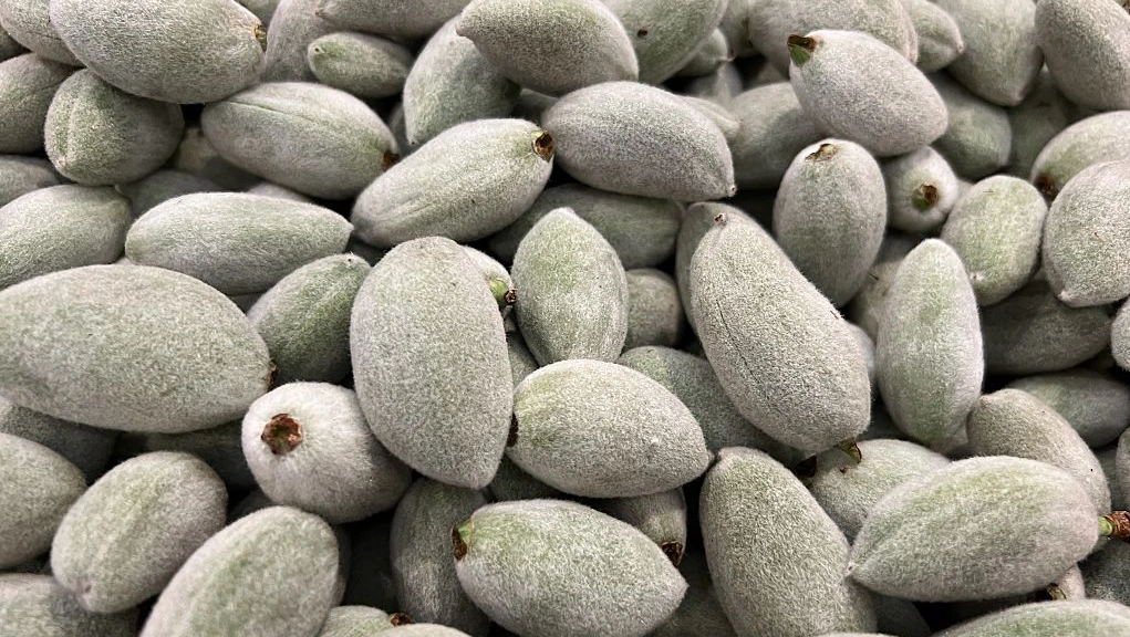 Almond desserts that warm the heart