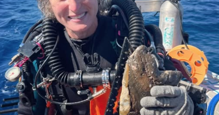 Woman finds centuries-old megalodon tooth in dive off NC coast