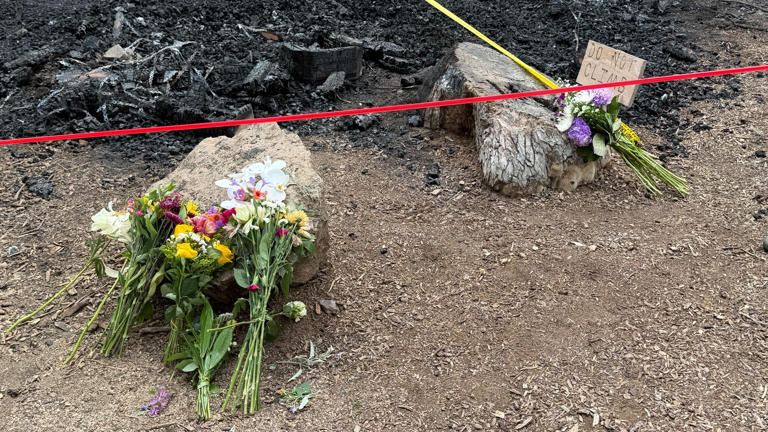 Pease Park Conservancy plans tribute after beloved troll was destroyed ...