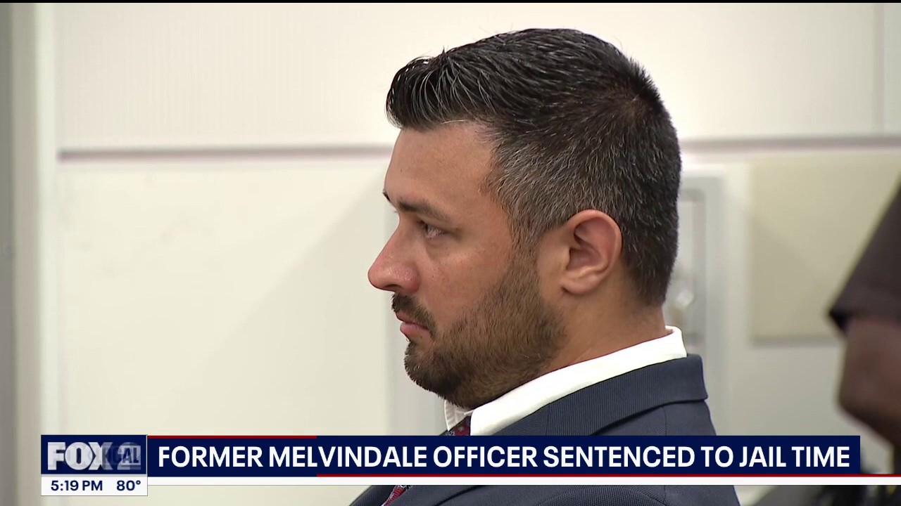 Ex-Melvindale police officer sentenced to jail in excessive force cases