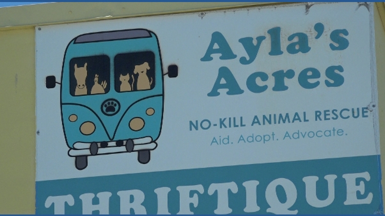 Ayla's Acres to break ground on 10,000 sf animal resource center in St ...