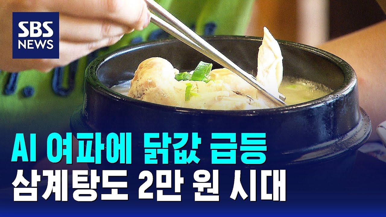 AI 여파에 닭값 급등...삼계탕도 2만 원 시대 / SBS