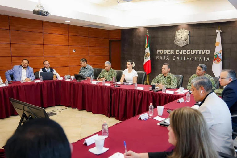 Baja California reports decline in homicides, as major drug ...