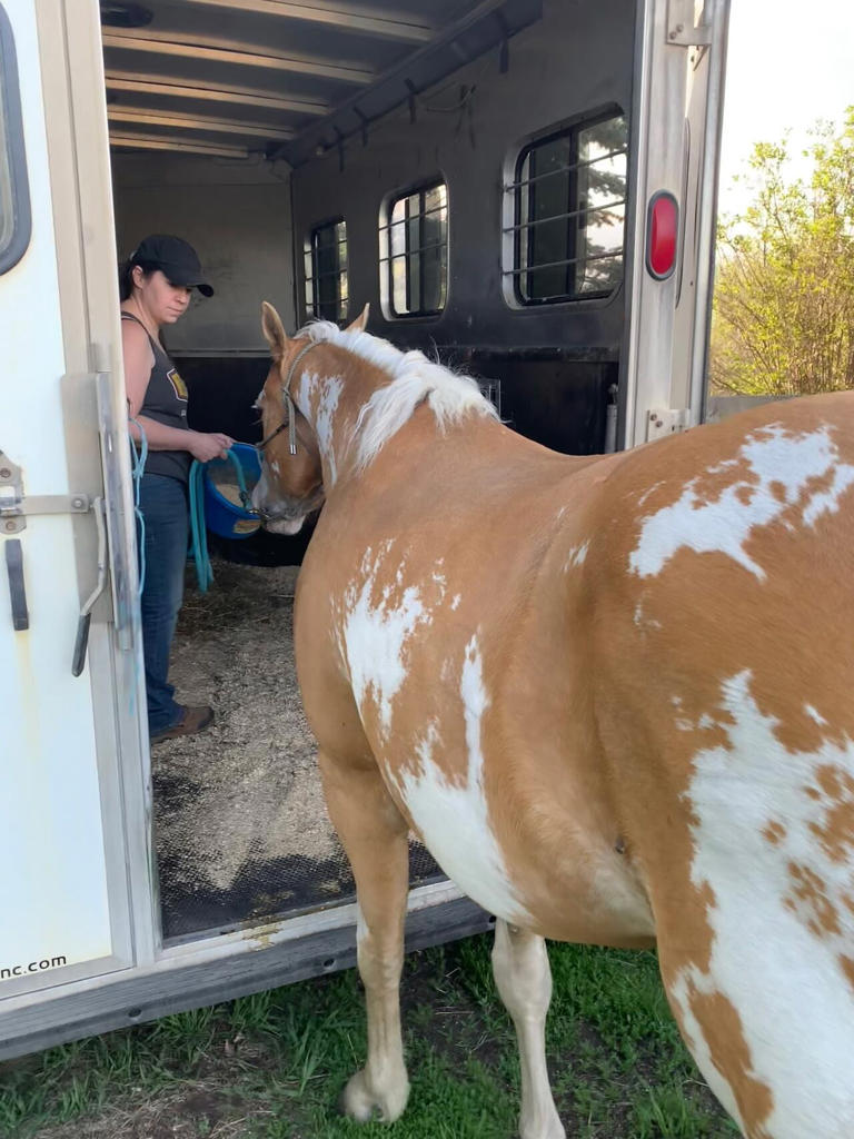 'Flying by the seat of our pants': Sask. families near Lobstick Fire on ...