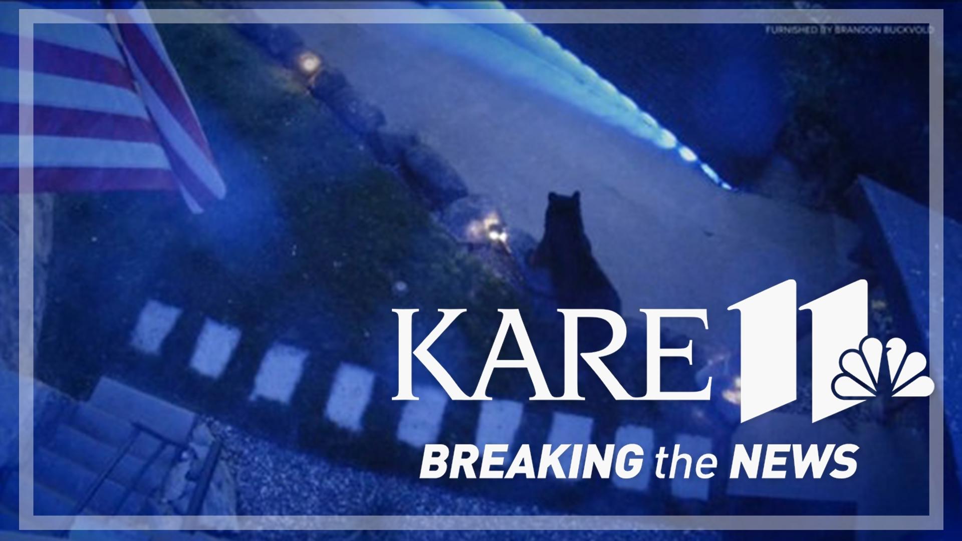 Bear sighting in Burnsville part of a growing trend