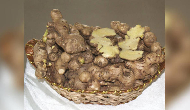 Cream of the crop: Ginger emerges as Kerala's most profitable crop ...