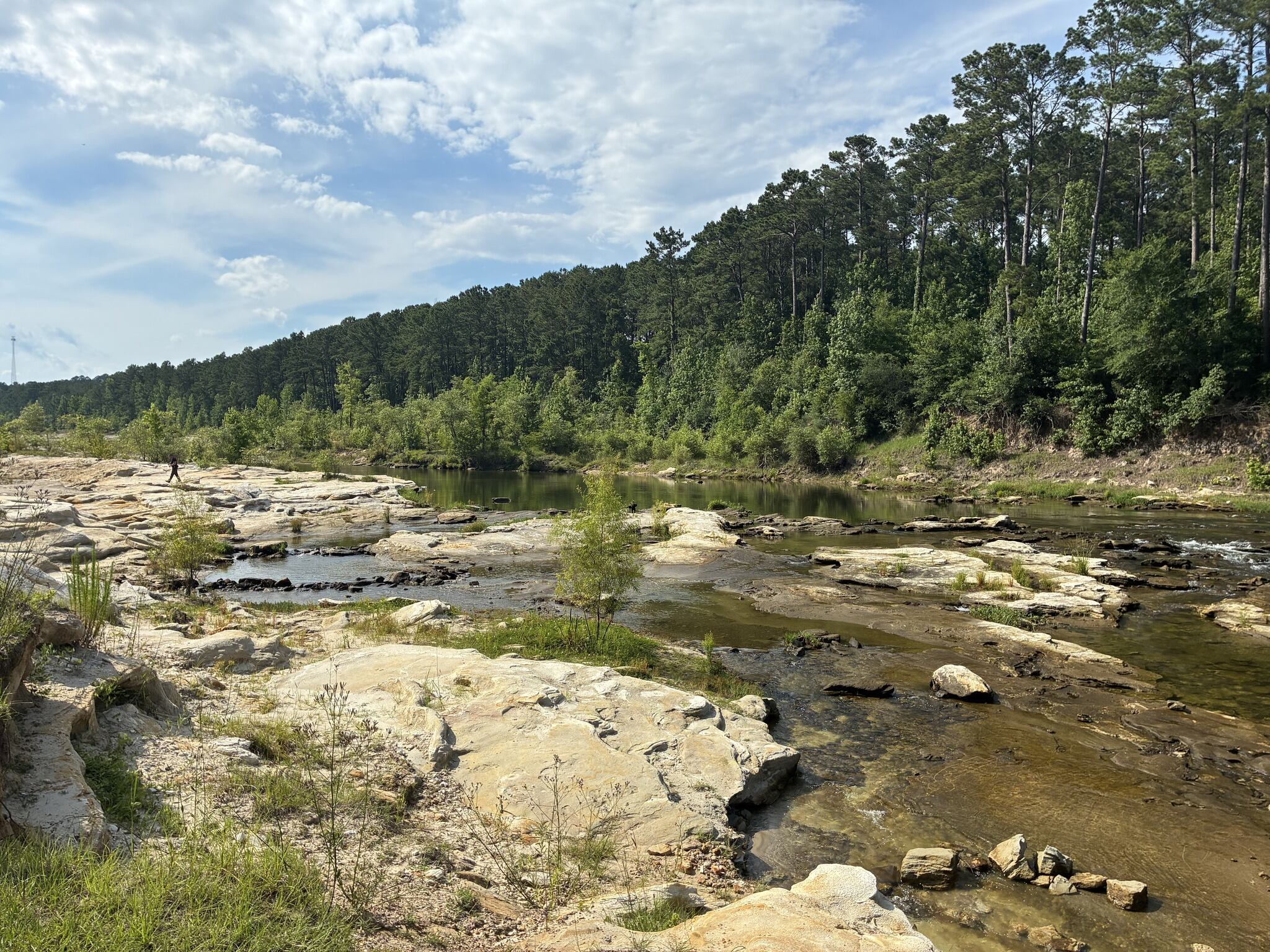 Man drowns near Toledo Bend Dam