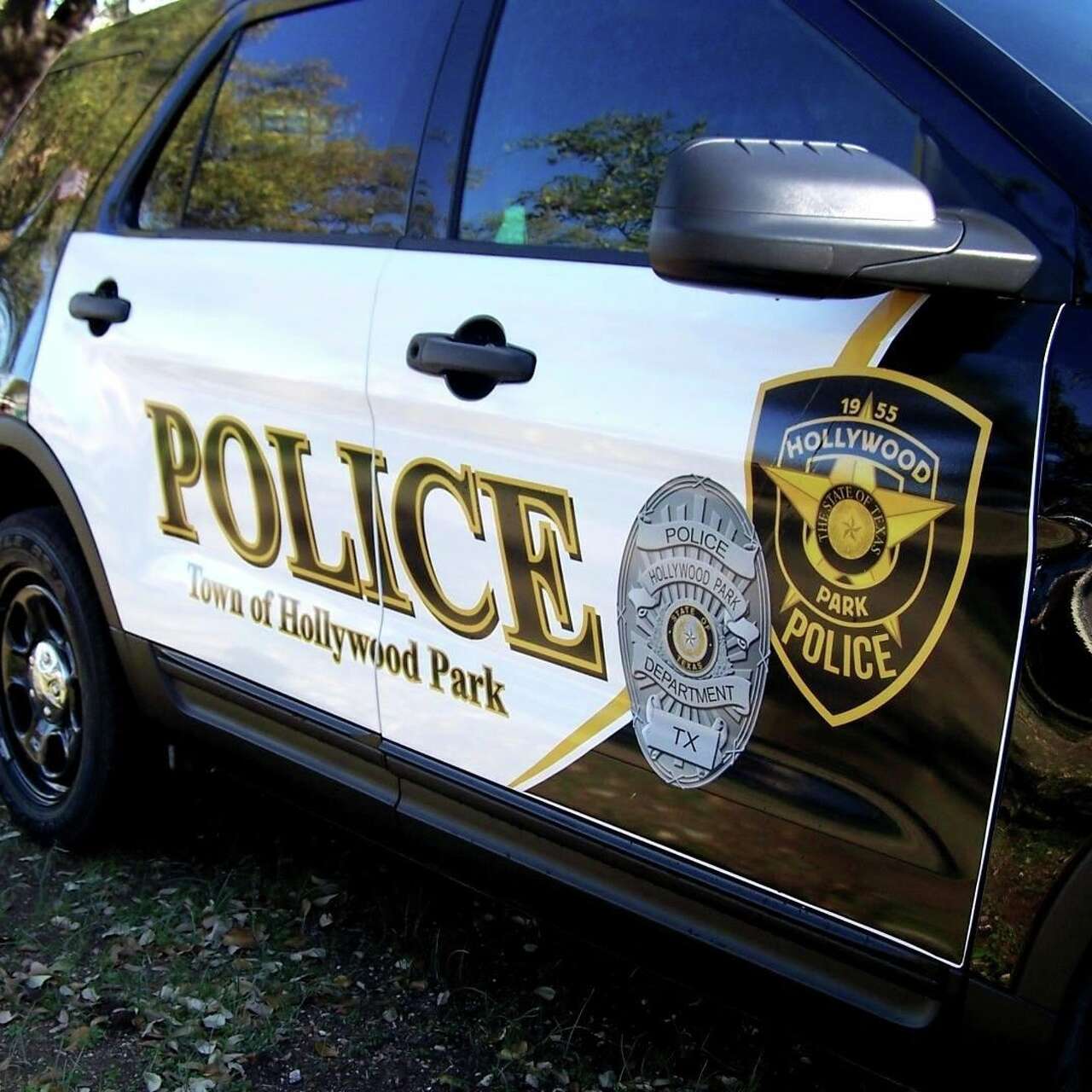 Fox tests positive for rabies after boy attacked in Hollywood Park ...