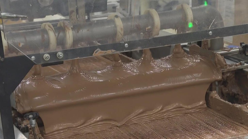 Behind-the-scenes look at Sarris Candies' factory store ahead of the ...