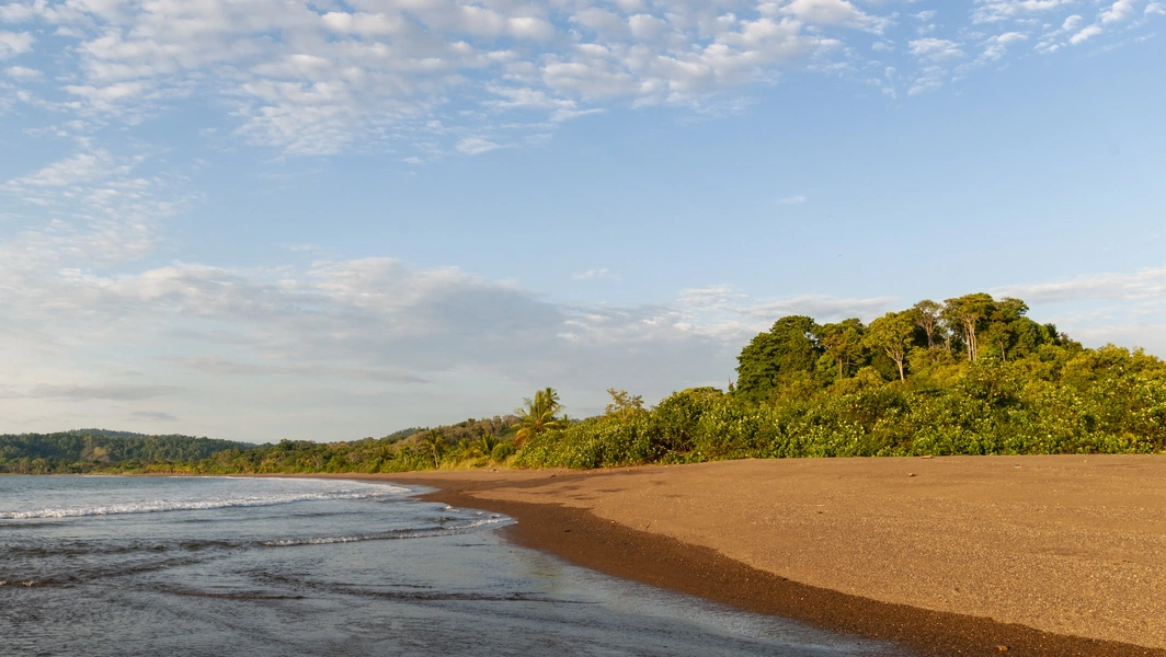 Jaguar-patterned marine worm discovered on Costa Rica beach