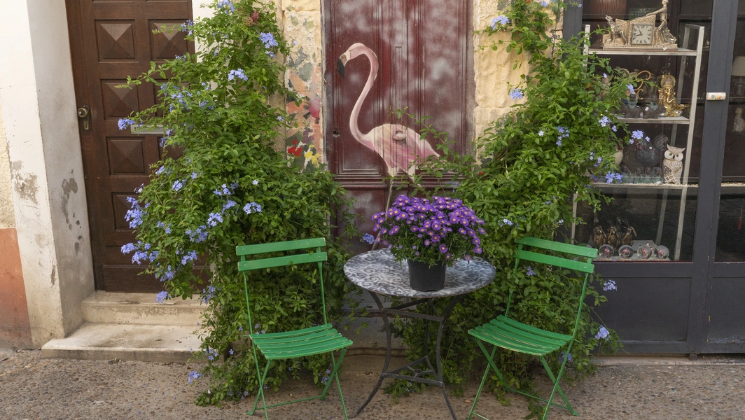 French courtyards and no-mow lawns lead 2026 backyard trends