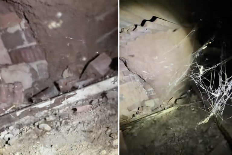 Tradie's discovery under Aussie home reveals destructive issue costing ...