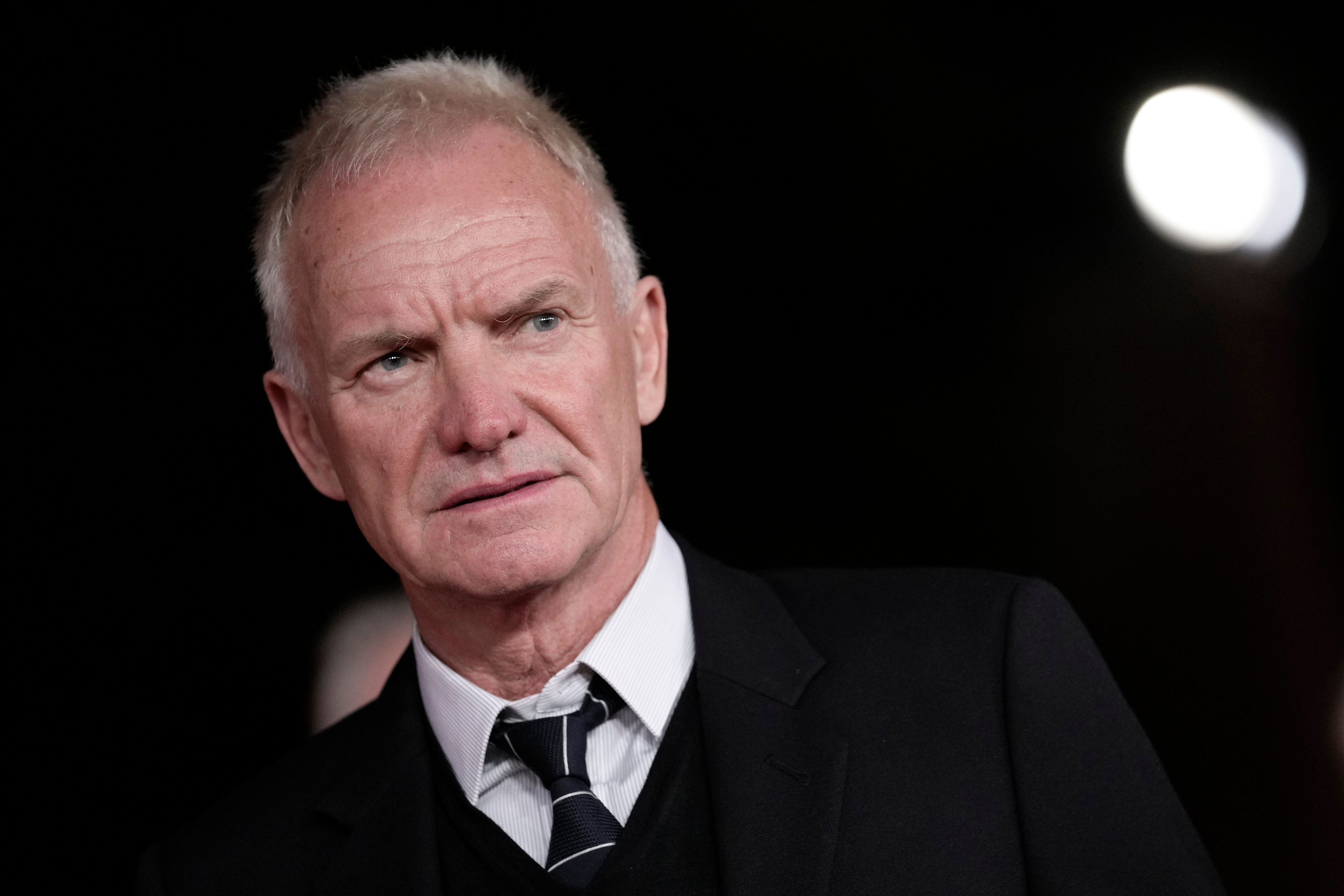 'We've lost something there': Sting shares 1 theory behind rise of male ...