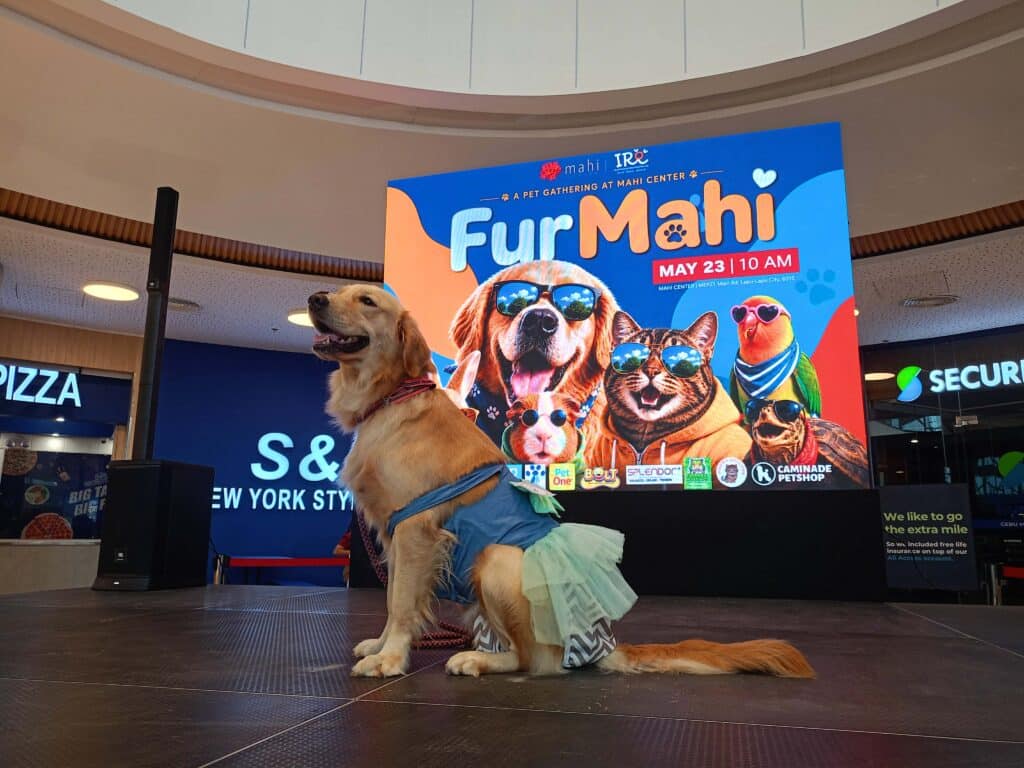 Mahi Center launches FurMahi for Cebu’s growing furparent community