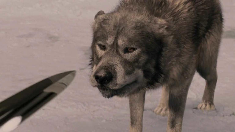 The Strongest The Chronicles of Narnia Characters, Ranked
