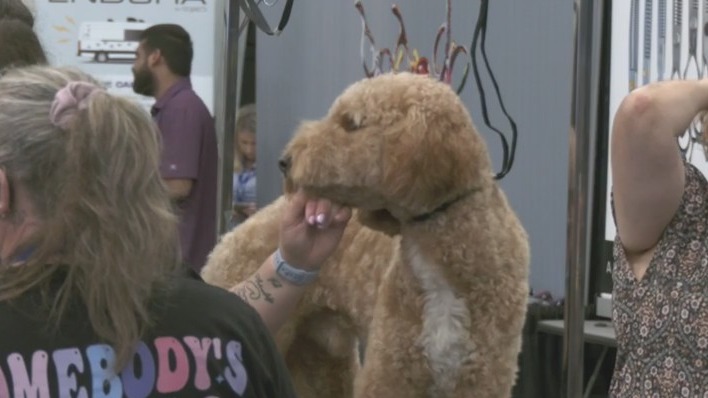 Competitive dog grooming expo kicks off in Owensboro