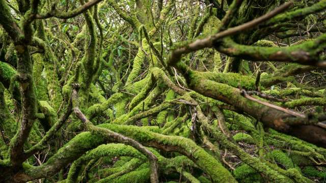 'Hugely significant': Citizen scientists find over 1,100 species in ...
