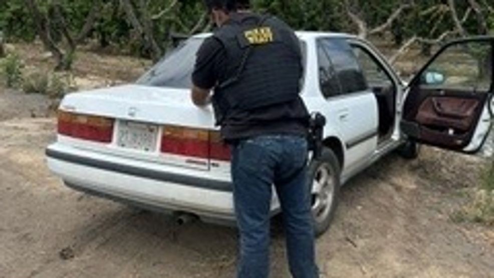 Man arrested after a stolen car was abandoned in an orchard in Tulare ...