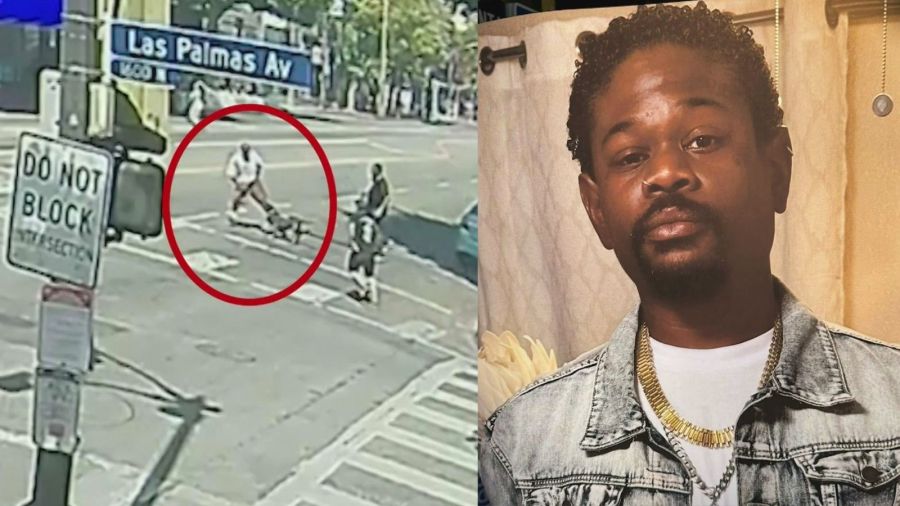 Man stabbed to death after violent dog attack on Hollywood Walk of Fame
