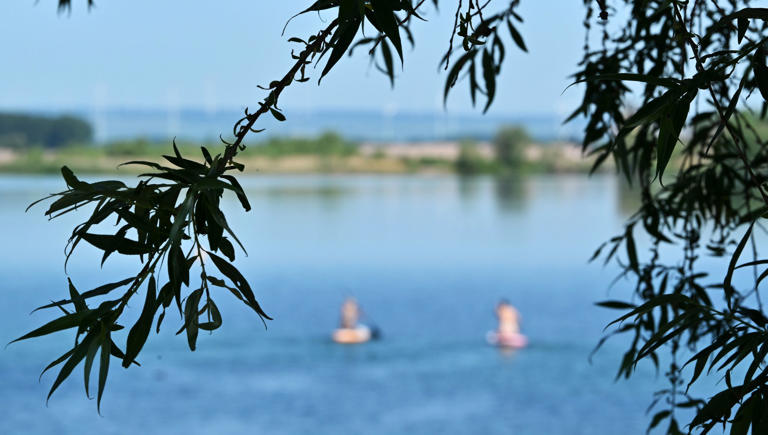 Jetskis, tauchen, Grill-Boot: womit Thüringens Wasser lockt