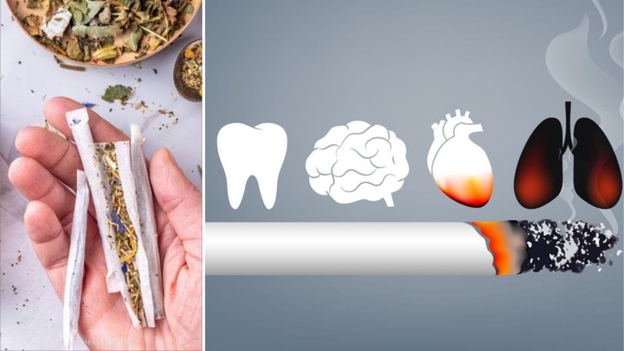Herbal cigarettes can emit more harmful particles than tobacco smoke ...
