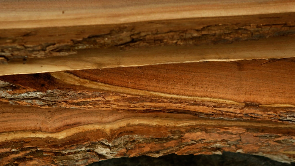 Why reclaimed wood feels like home