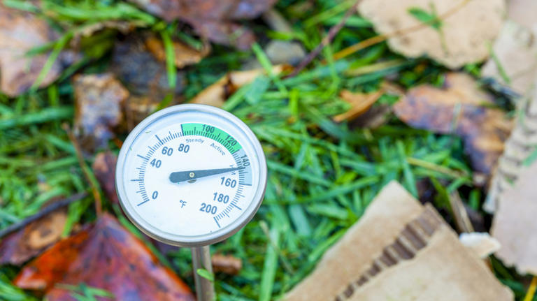 Not citrus: The kitchen scrap you should never add to compost