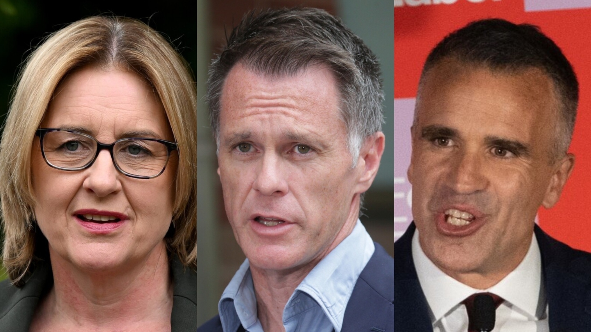 State premiers advised to take greater responsibility in addressing ...