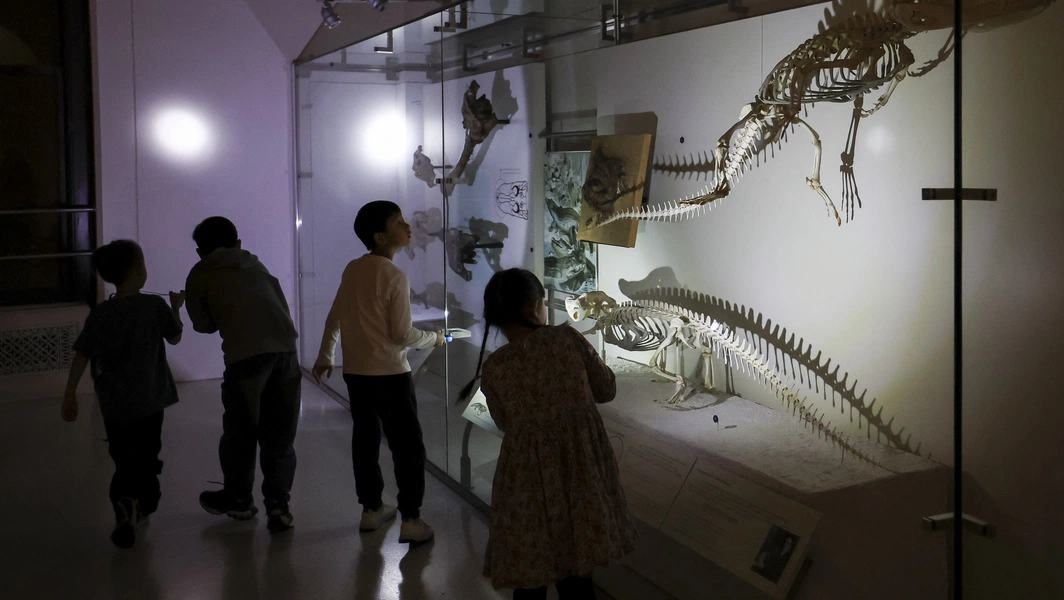 AMNH extends popular sleepover program after post-pandemic return