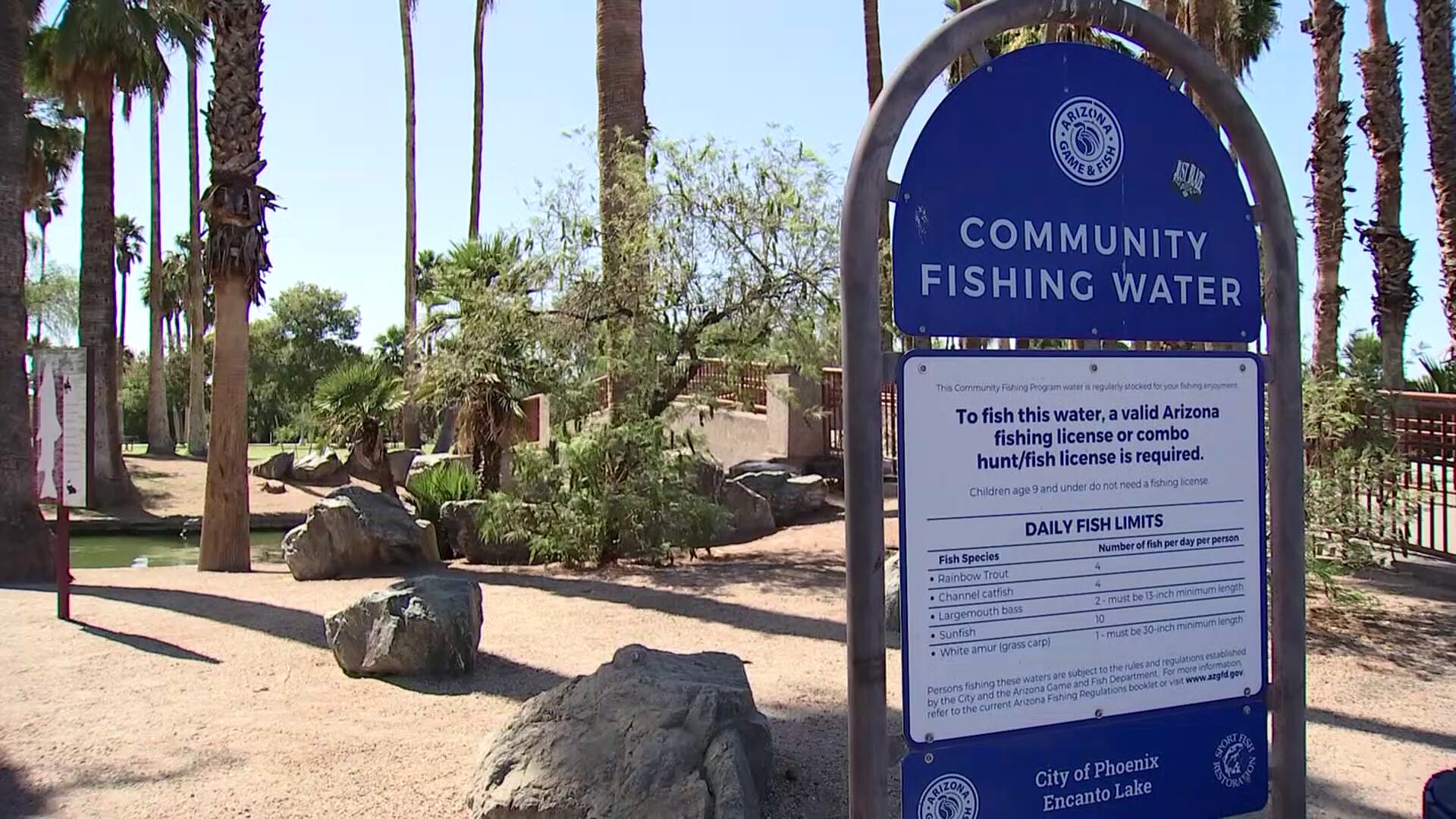 Arizona to test fish in more than 25 lakes for PFAS, issue advisories ...