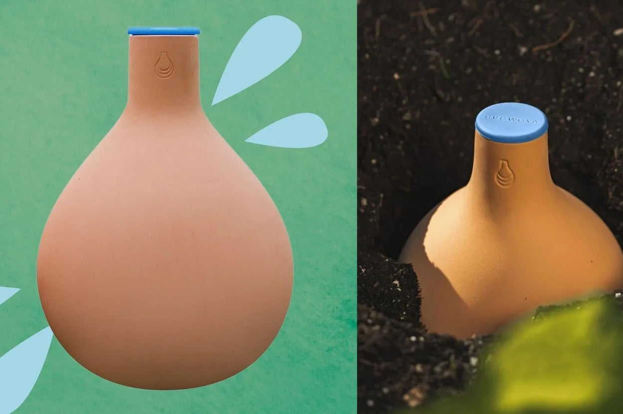 If you're always forgetting to water your plants, this pot can do it ...