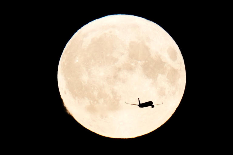 Don't miss it! A rare blue moon is set to light up the sky
